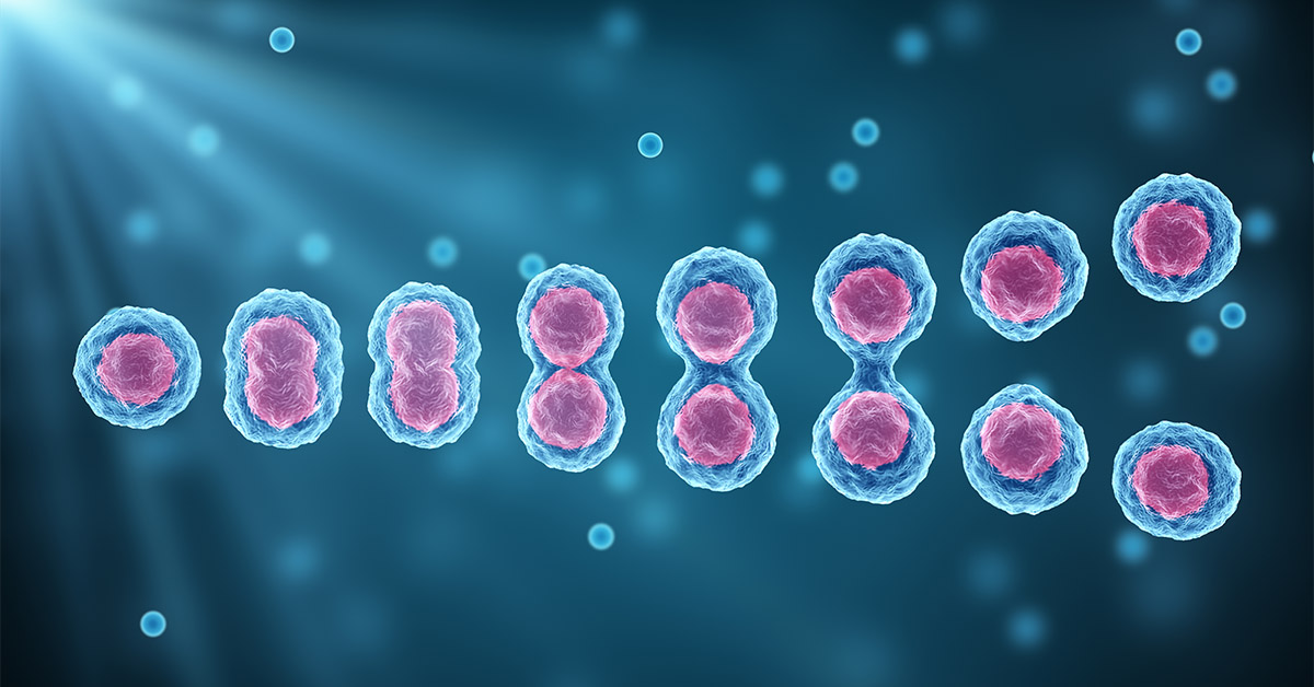 What are Stem Cells? | The Ottawa Hospital Foundation