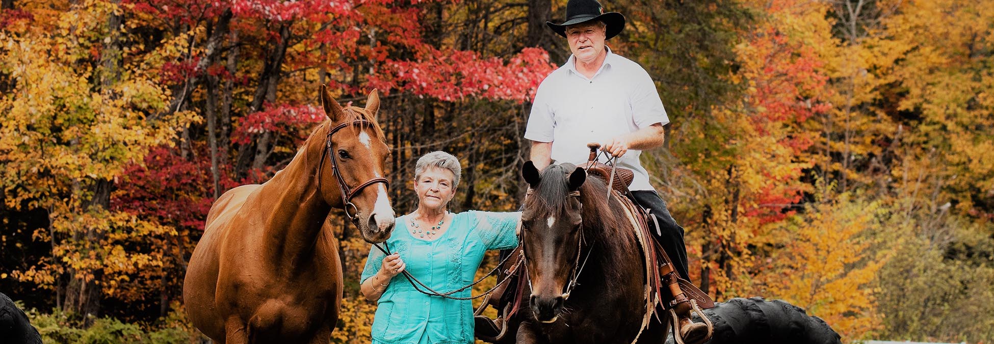 The Ottawa Hospital pioneers a potential cure for a type of pulsatile tinnitus | The Ottawa ...