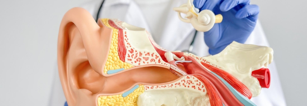 All about tinnitus | The Ottawa Hospital Foundation